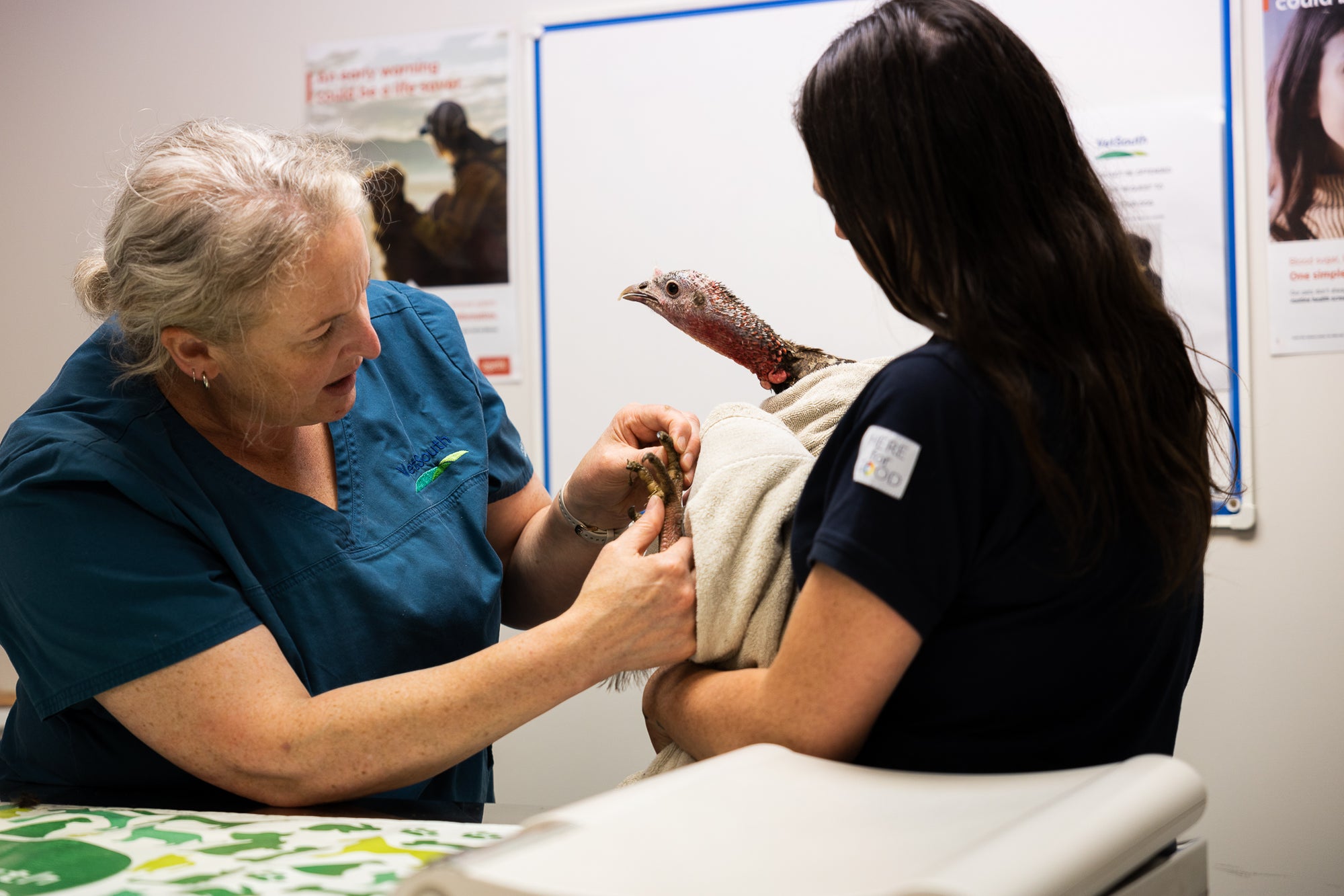 Arrow Uniforms: Quality Workwear & Uniforms